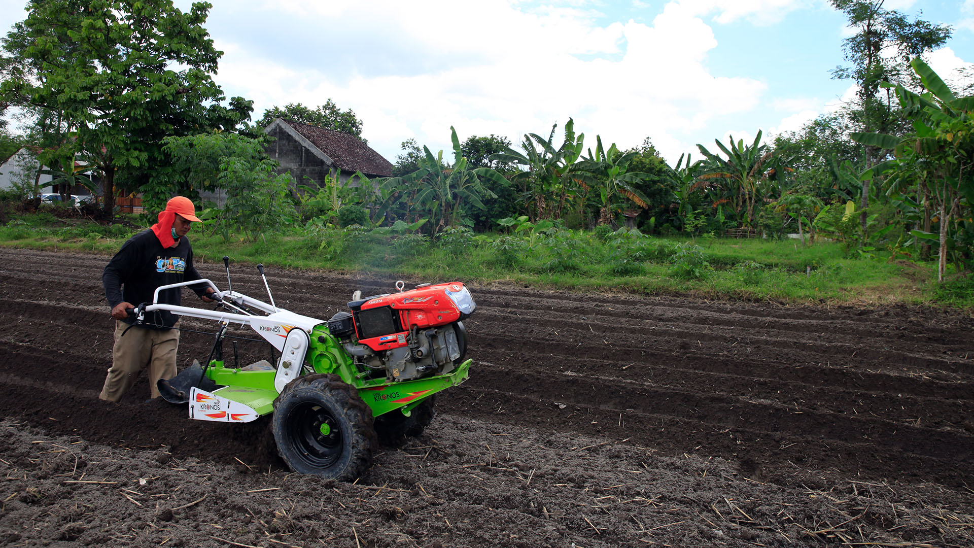 PENTINGNYA BEDENGAN UNTUK TANAMAN | Petani Quick