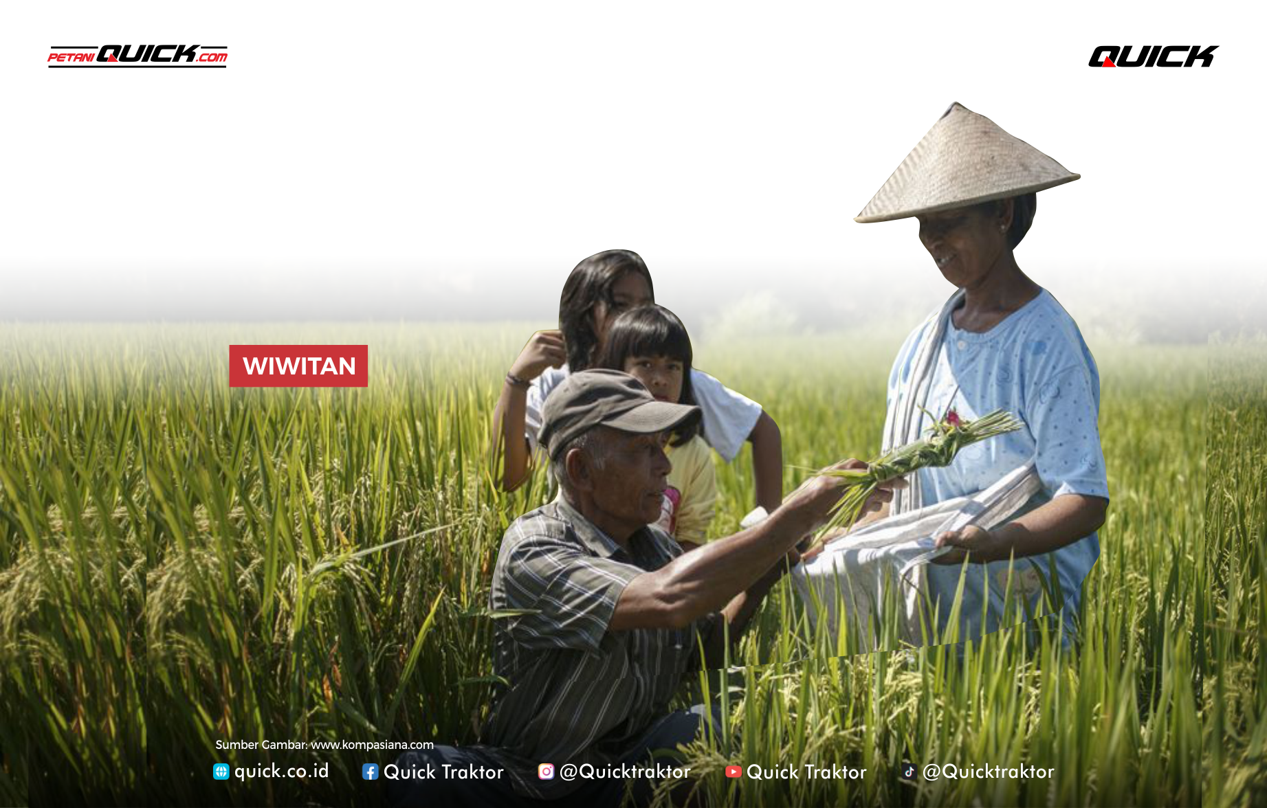 TRADISI PANEN PADI: Ungkapan Syukur dan Kebudayaan Agraris | Petani Quick