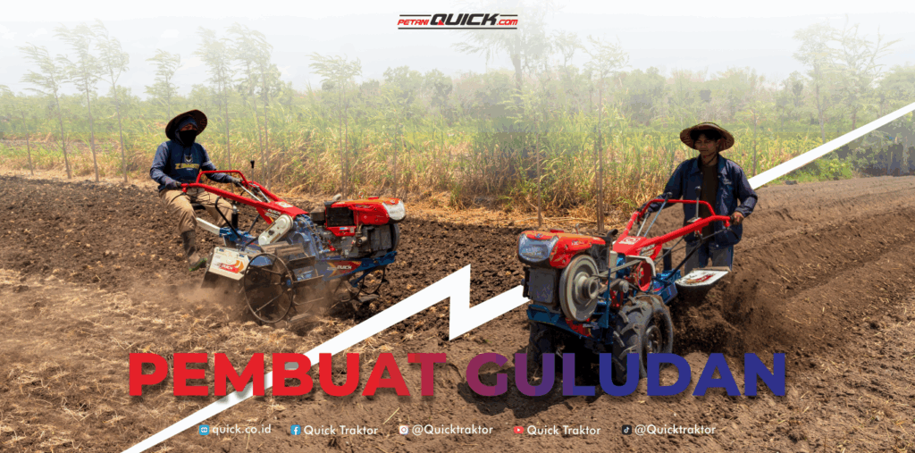 Ukuran Guludan Itu Penting | Petani Quick